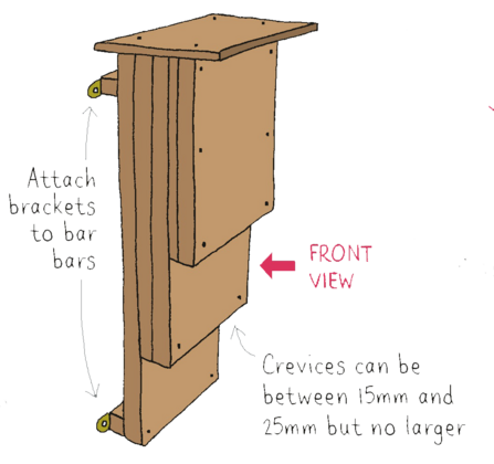 How to build a bat box | The Wildlife Trusts